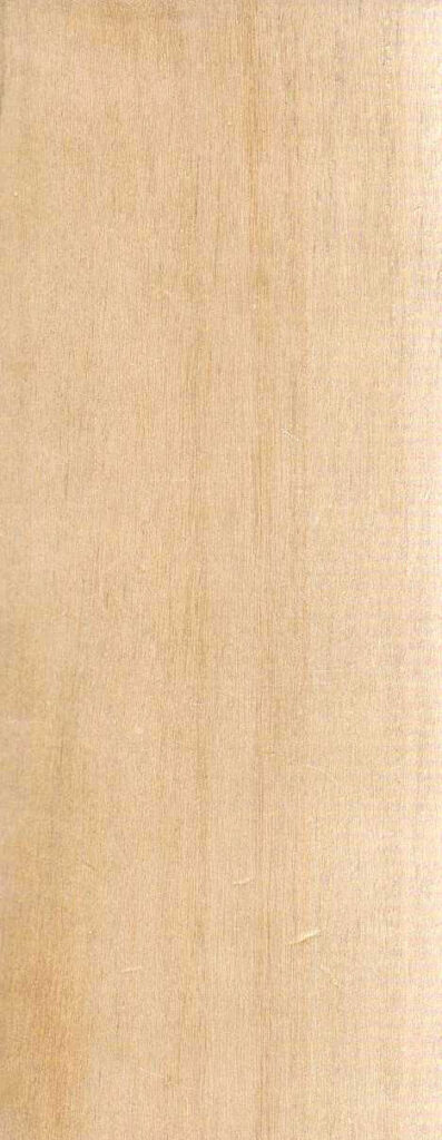 Álamo | Ezequiel Maderas